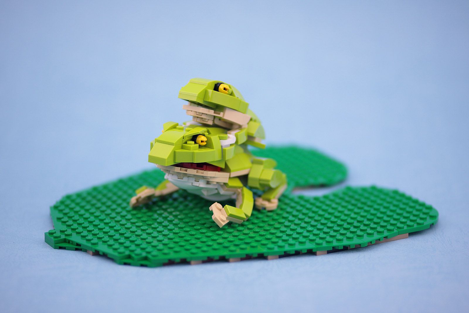 LEGO žába: skok do kreativity | Matyho kostky